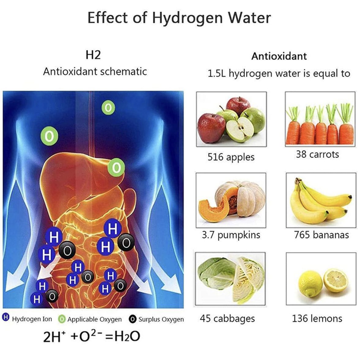 Recover Faster, Feel Better: The Benefits of Molecular Hydrogen for ...