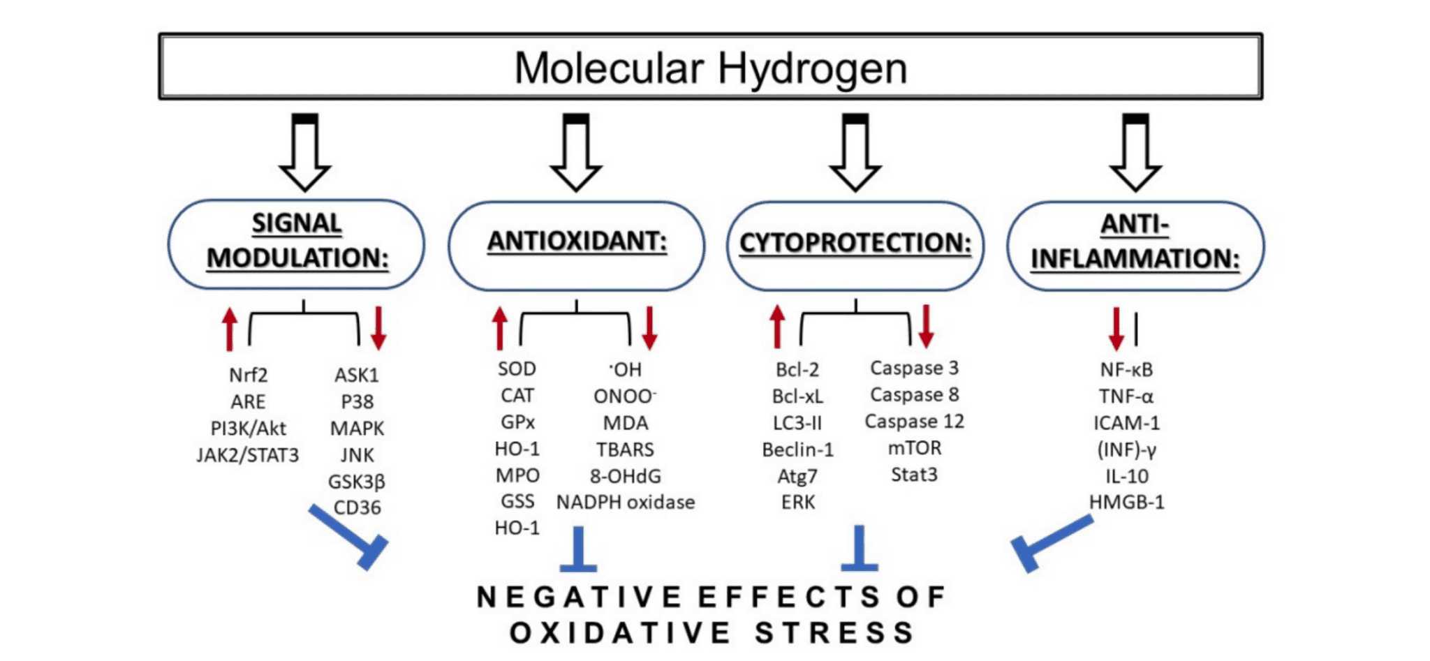 The Ultimate Guide to Molecular Hydrogen Use: 4 Methods of Administration - Dr. Antonucci