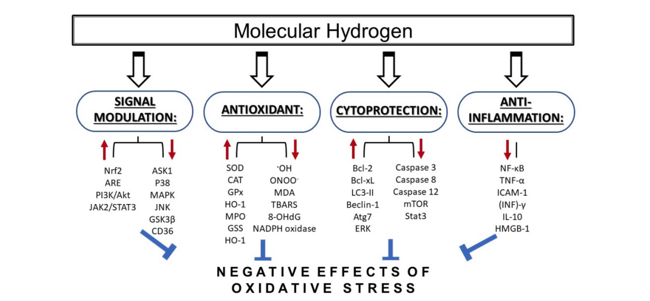 The Ultimate Guide to Molecular Hydrogen Use: 4 Methods of ...